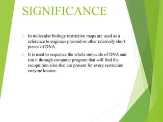Restriction mapping | PPTX