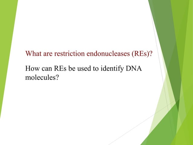 Restriction mapping | PPTX | Chemistry | Science