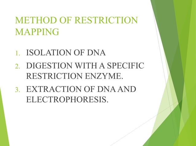 Restriction mapping | PPTX | Chemistry | Science