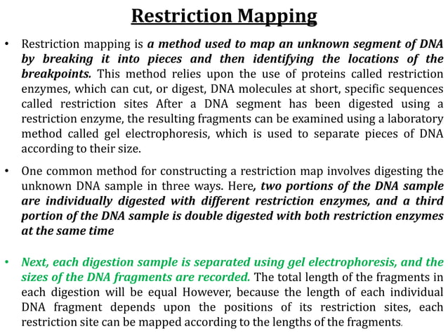 Restriction Mapping | PDF