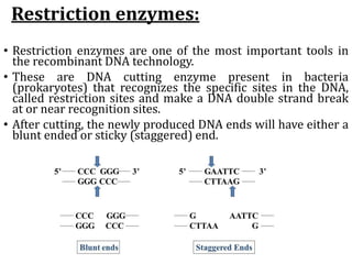 Restriction Mapping | PPT
