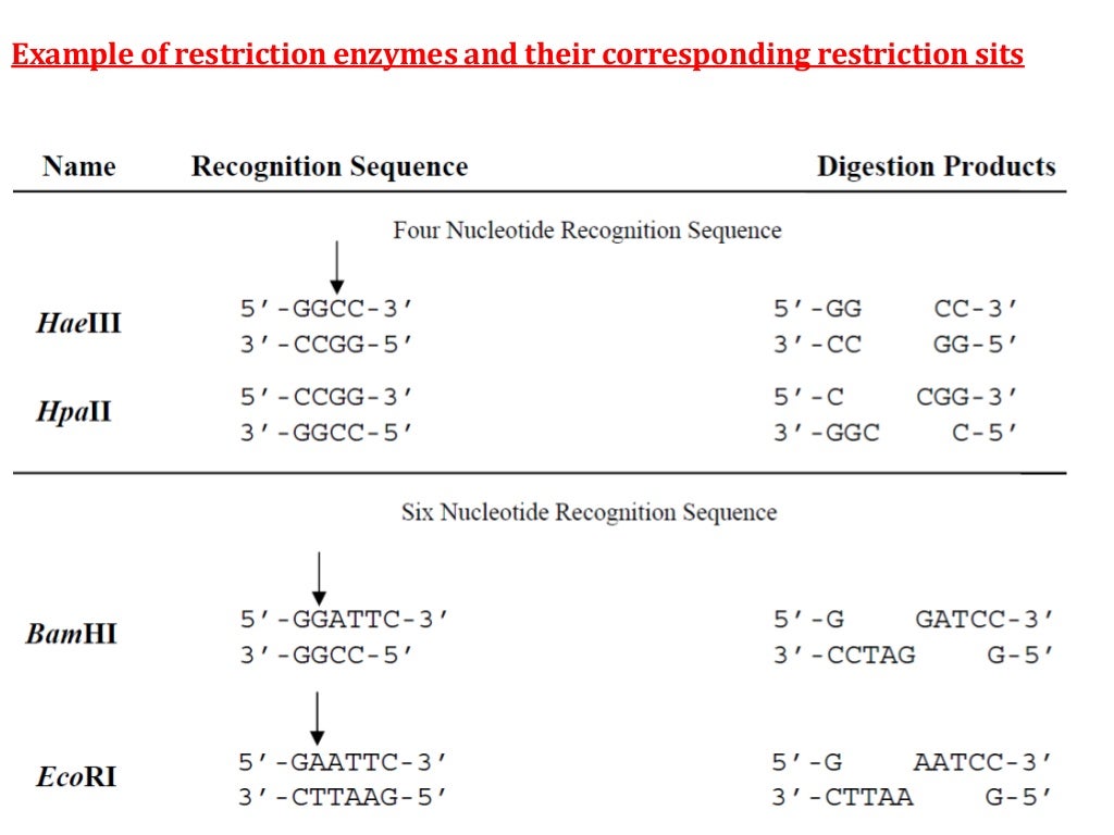 Restriction Mapping