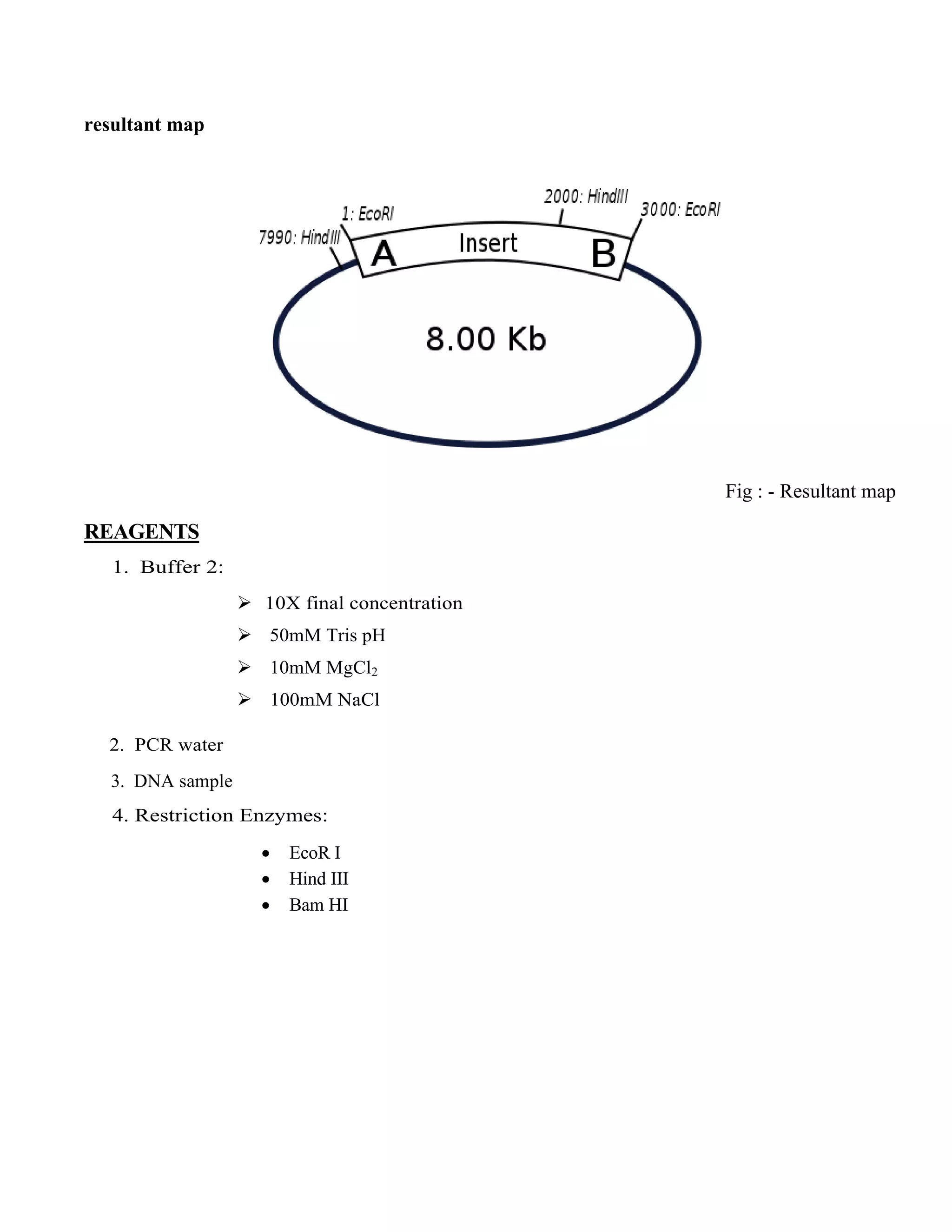 Restriction mapping of bacterial dna | PDF Restriction mapping of bacterial dna | PDF