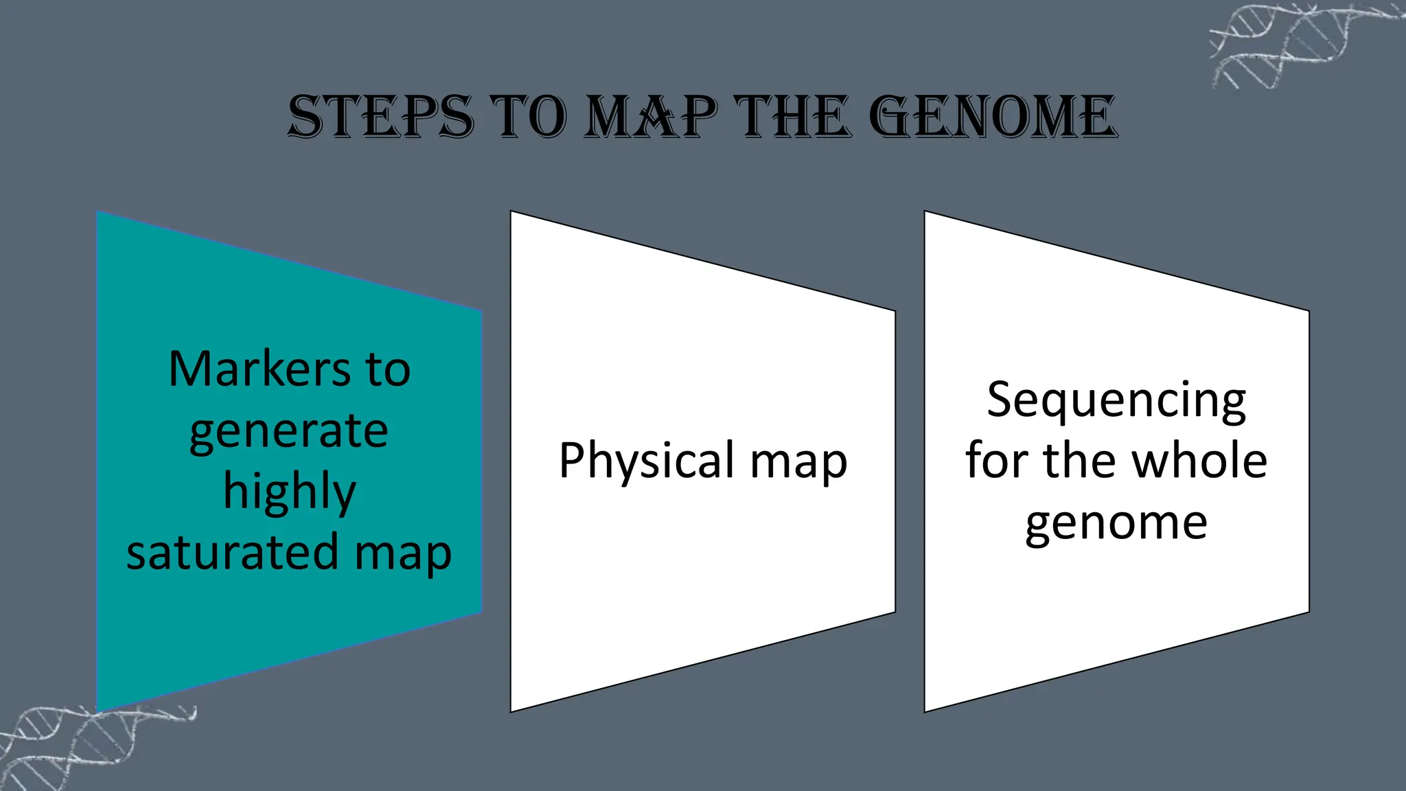 restriction mapping (Physical mapping).pdf