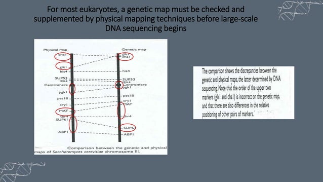 restriction mapping (Physical mapping).pdf | Chemistry | Science