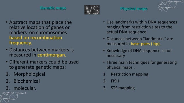 restriction mapping (Physical mapping).pdf | Chemistry | Science