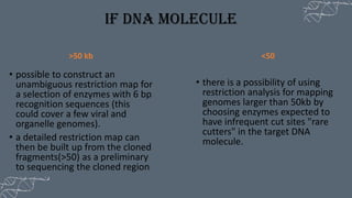 restriction mapping (Physical mapping).pdf