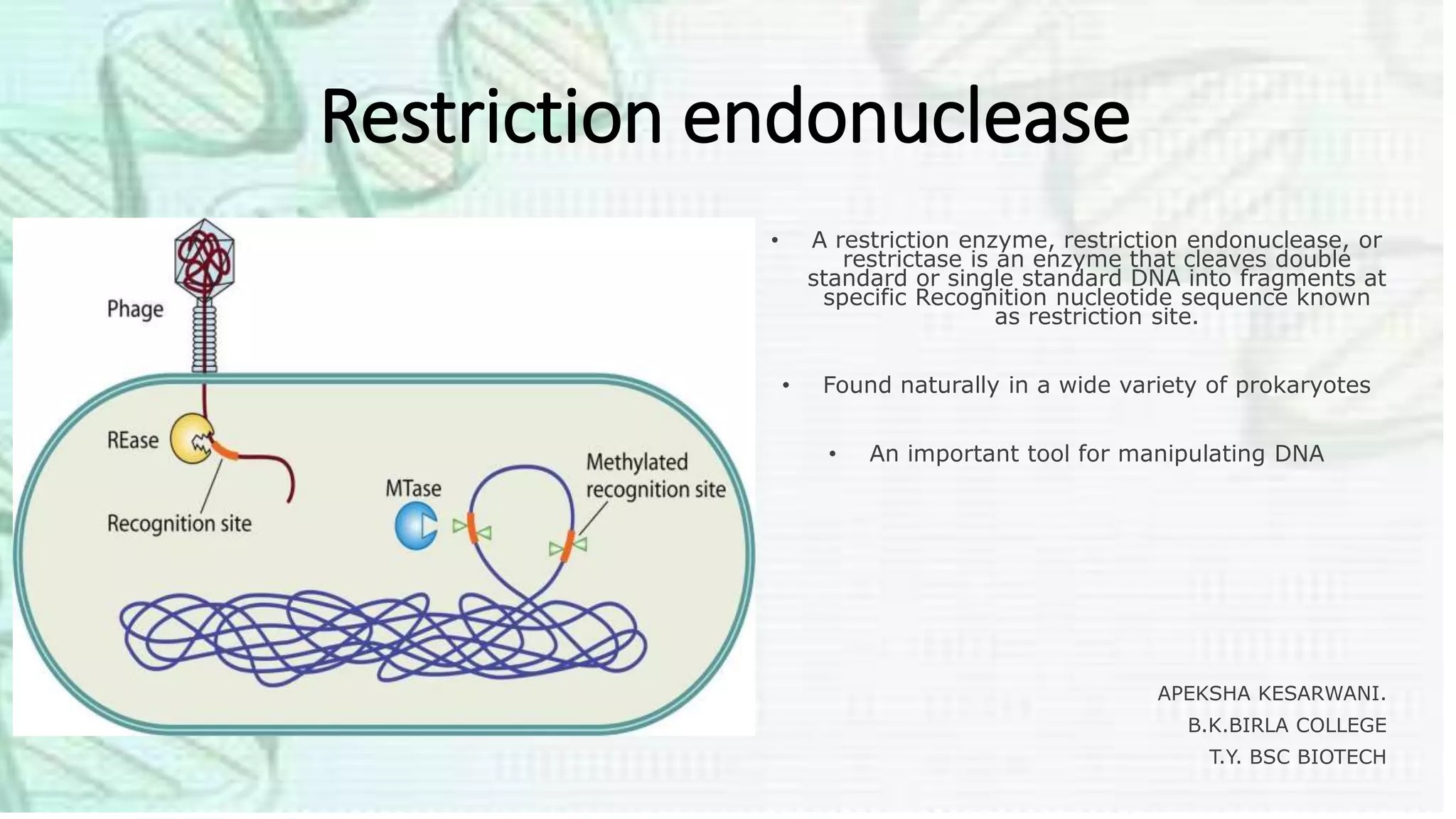Restrictions endonuclease | PPTX