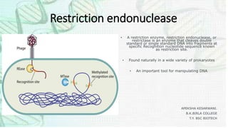 Restrictions endonuclease | PPTX