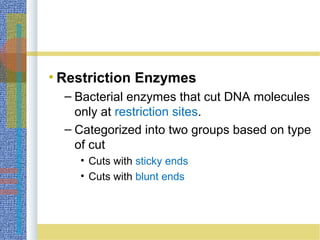 Restrictions endonuclease and vectors for gene cloning | PPT