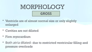 Restrictive cardiomyopathy-definition, pathogenesis.pptx
