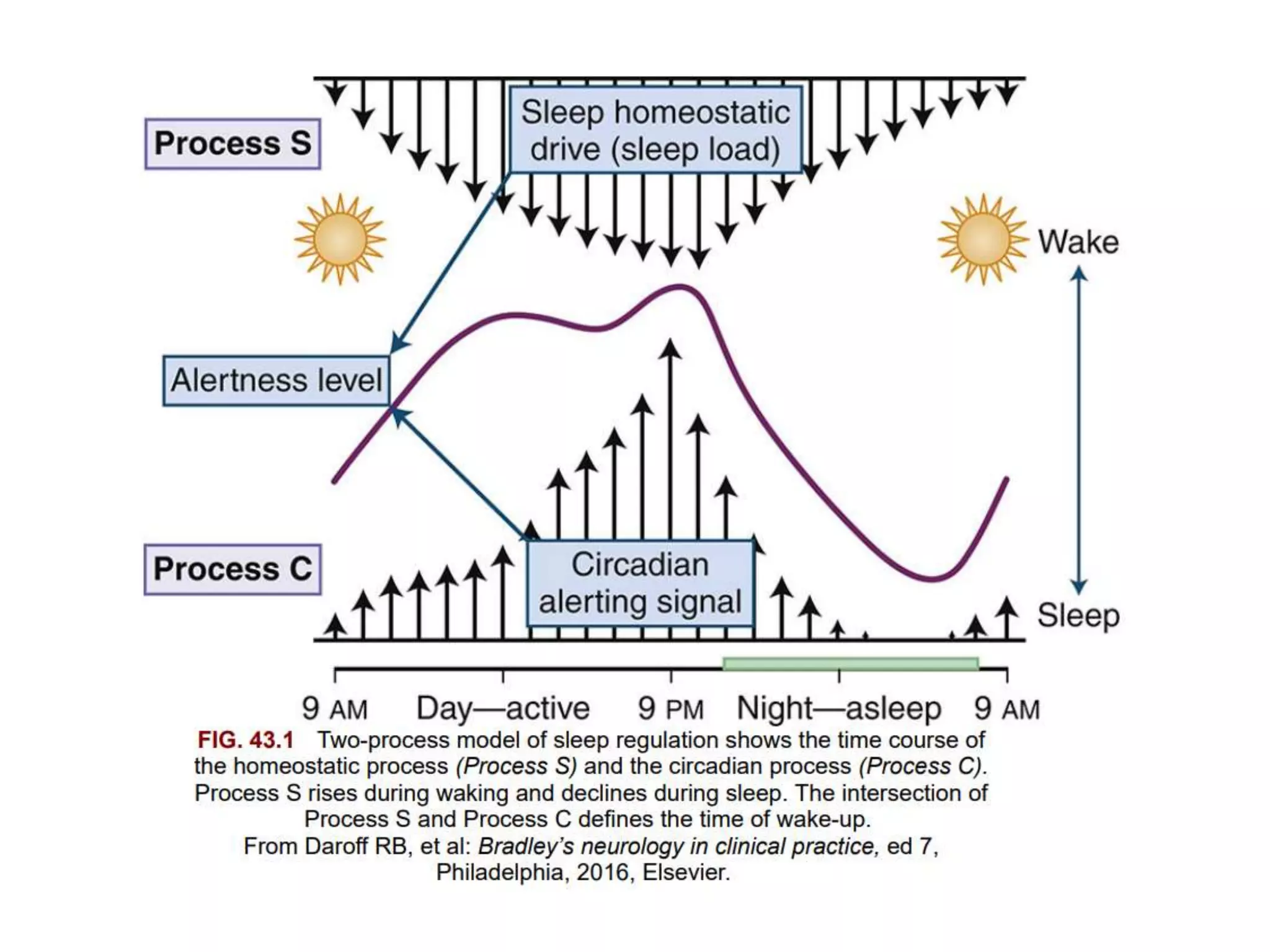 Rest, Sleep and Comfort measures.pptx
