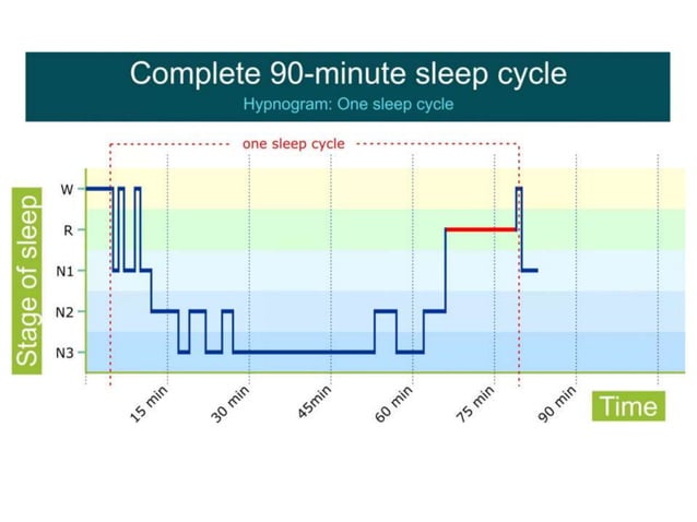Rest, Sleep and Comfort measures.pptx | Sleep Disorders | Diseases and ...