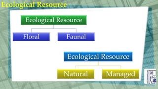 Resource Classification | PPTX