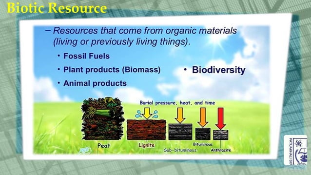 Resource Classification | PPTX