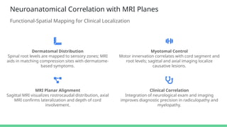 Introduction to MRI Spine - Basics slides | PPTX
