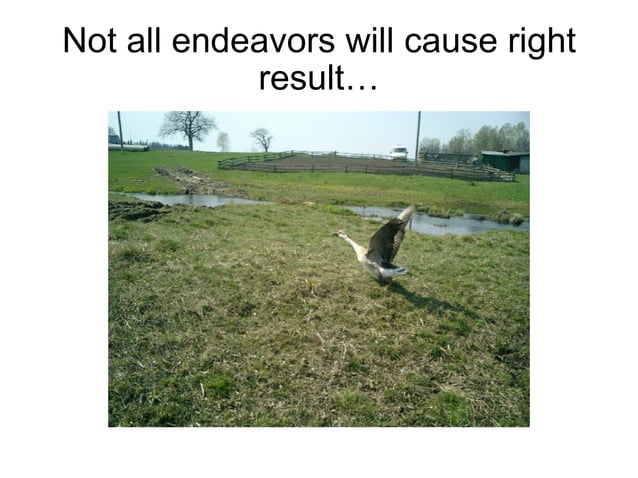 Result Oriented Approach | PPT