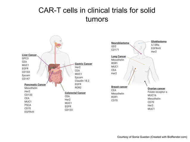 Results Obtained with CART-cell Therapy.pptx