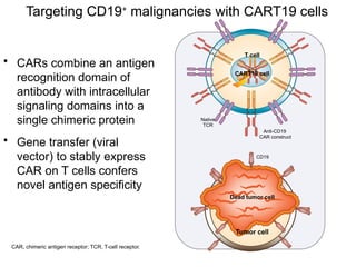 Results Obtained with CART-cell Therapy.pptx