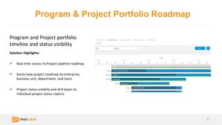 PMO View Interactive Dashboard | PDF