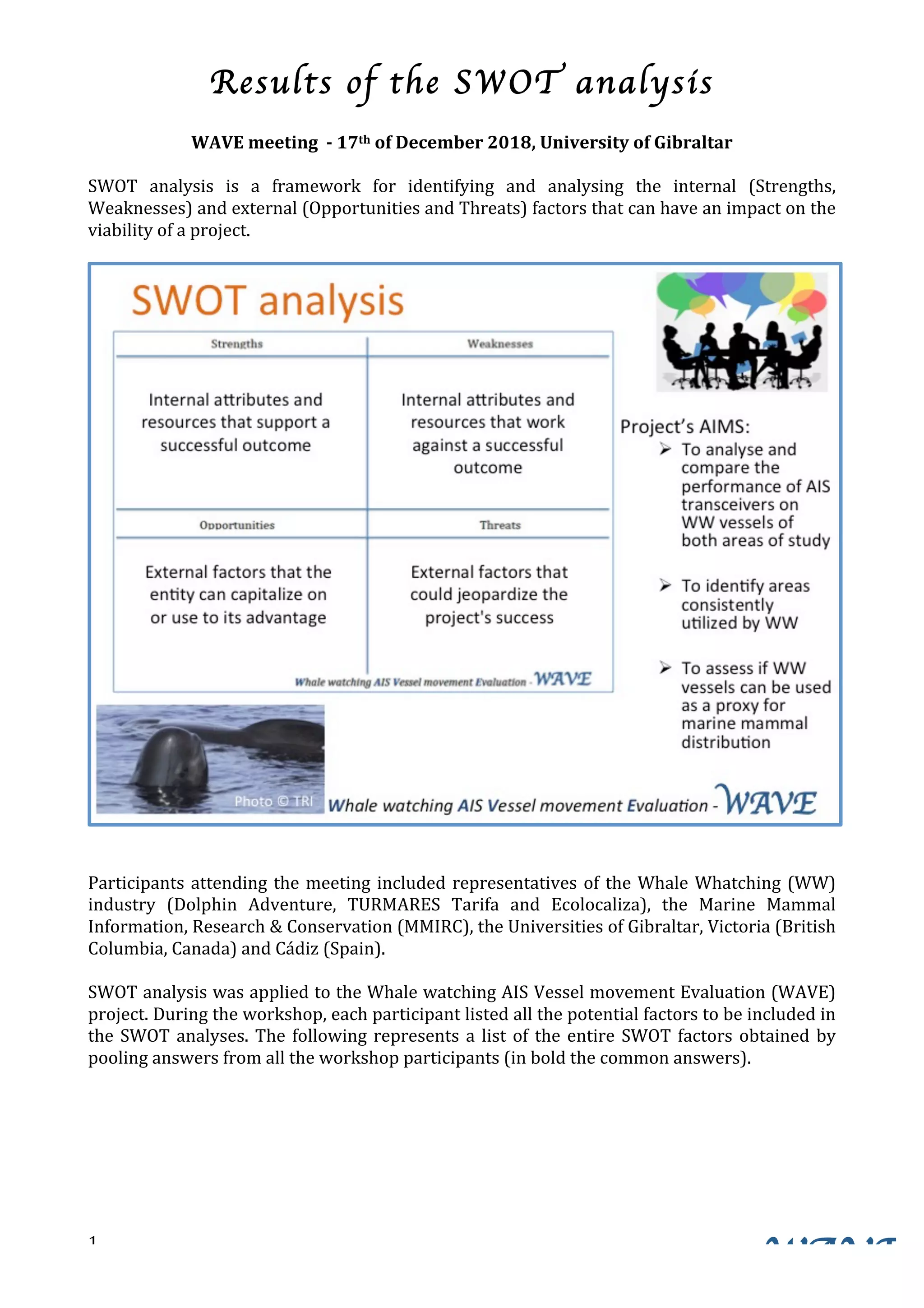 SWOT Results WAVE Project | PDF
