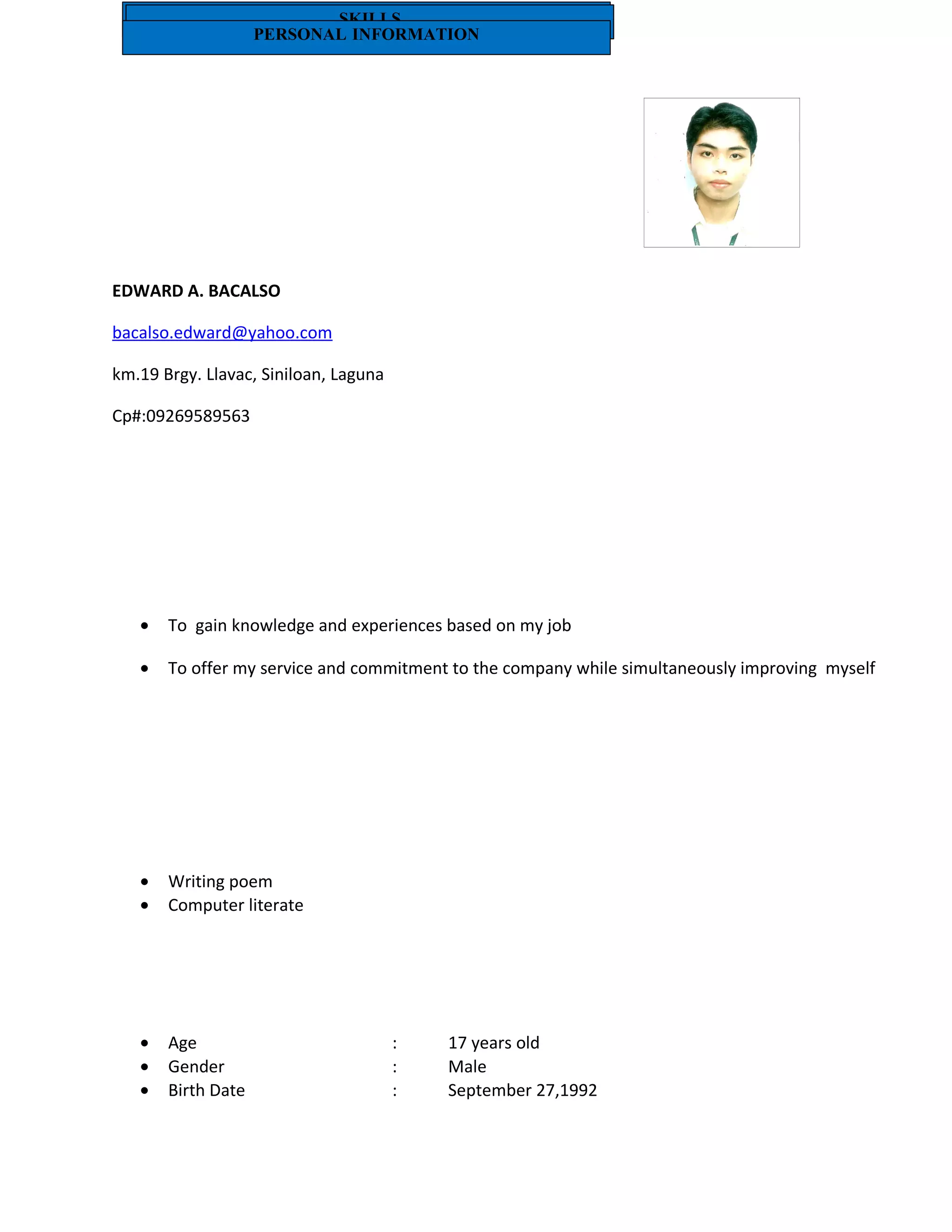 Resumae ready to print | RTF