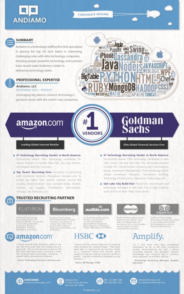 Developer Infographic Resume