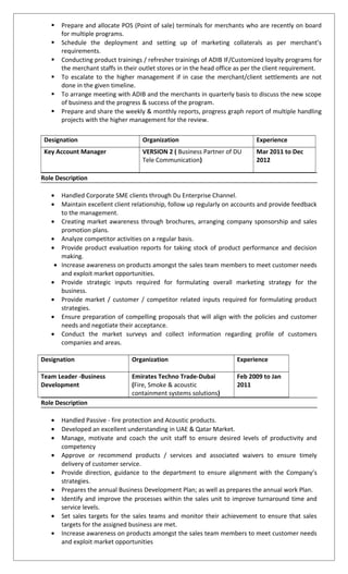 Resume key account manager (Payment Solutions) | DOC