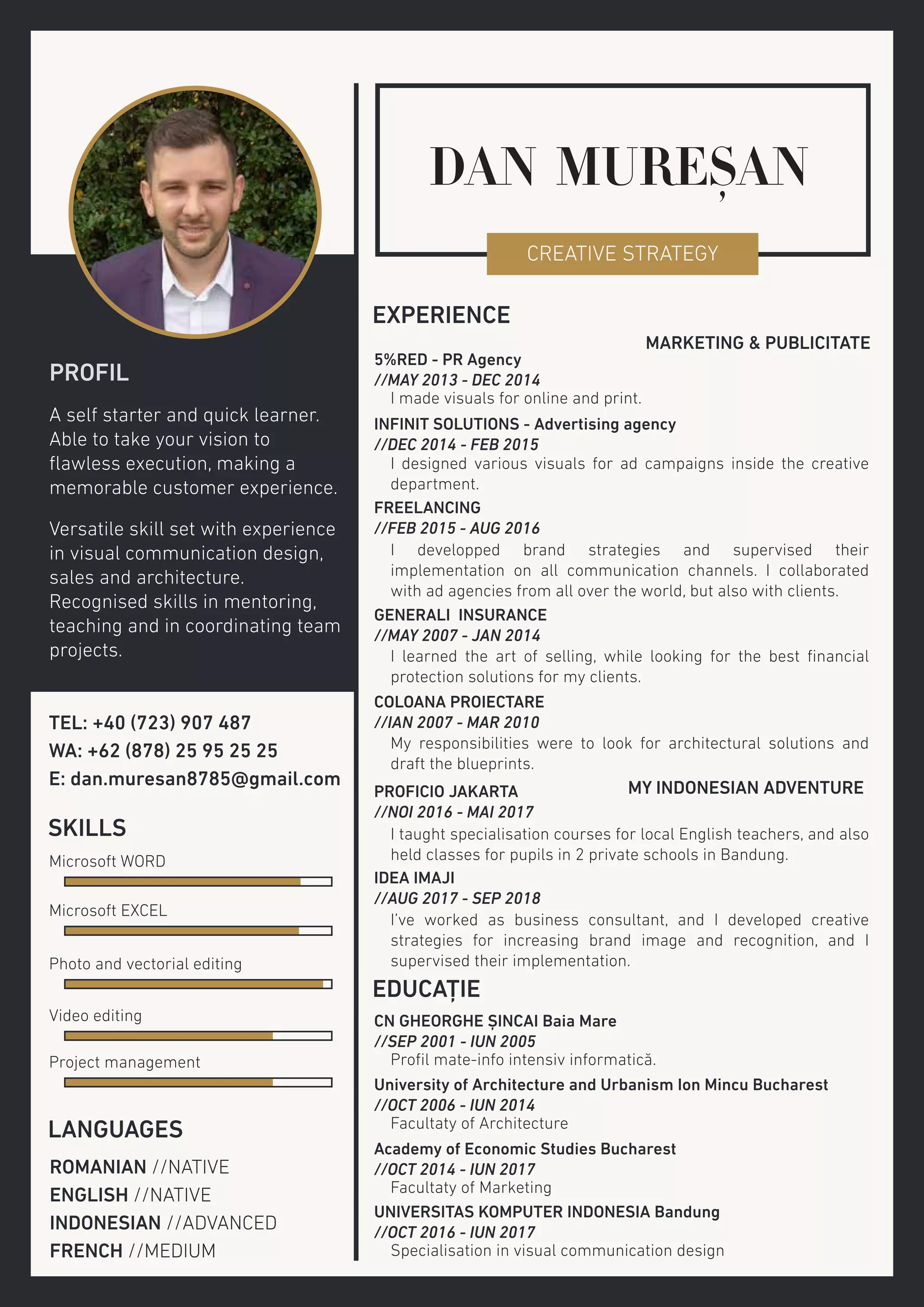 Resume Dan Muresan | PDF