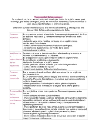 RESUME DE PERITONEO Y ANATOMIA TOPOGRAFICA. | PDF