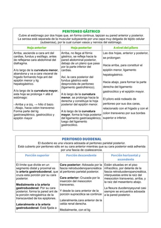 RESUME DE PERITONEO Y ANATOMIA TOPOGRAFICA. | PDF