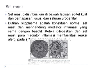 Resume imunologi | PPTX