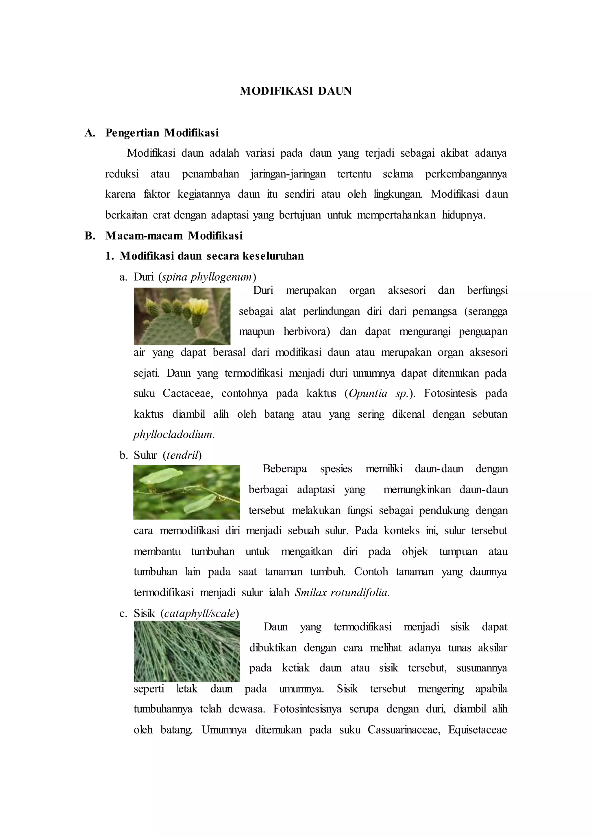 Resume modifikasi daun dan filotaksis | DOCX