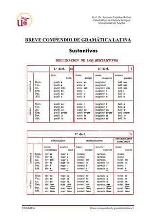 Resumen de gramática latina | PDF