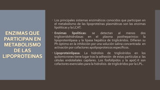 Lipidos y Lipoproteinas - Resumen, LDL, HDL, Quilomicrones, Enzimas ...
