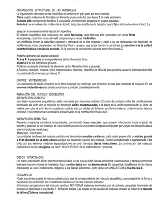 resumen-tejido-muscular.docx