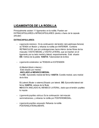 Resumen anatomia de la rodilla | DOCX
