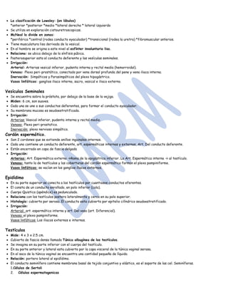 Resumen de urologia de temas principales | PDF