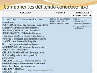 TEJIDO CONECTIVO | PPTX