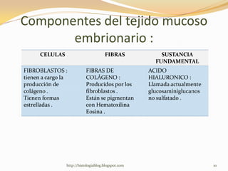 Resumen tejido conectivo | PPTX