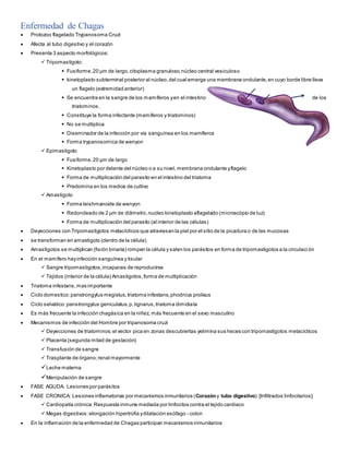 Resumen teorico parasitología médica iii | DOCX