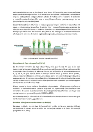 Fitodepuracion- Uso de Humedales Artificiales en efluente industrial | PDF