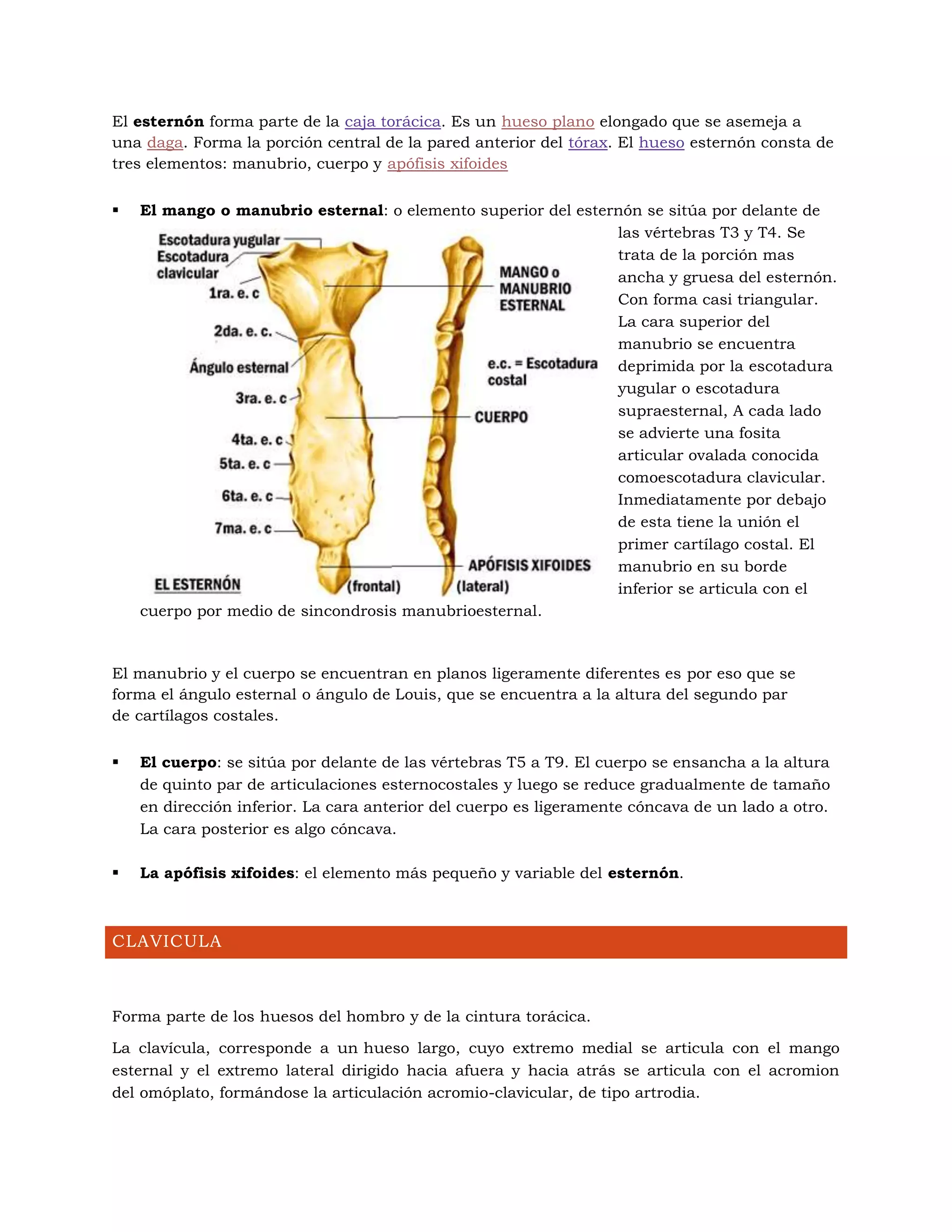 Resumen Torax | DOCX