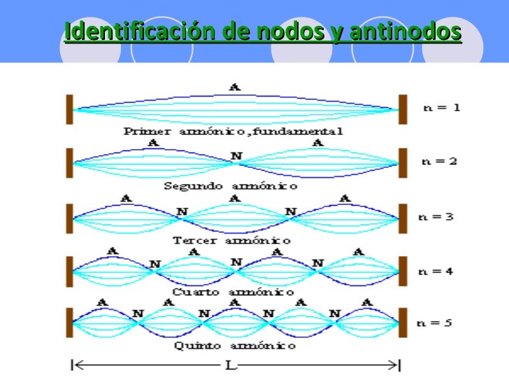 Resumen unidad sonido