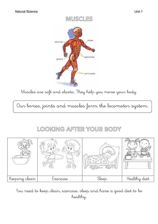 Resumen unit 1 the human being natural science | PDF