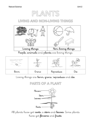 Resumen unit 2 plants natural science | PDF