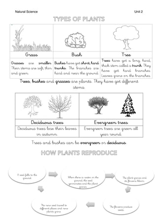 Resumen unit 2 plants natural science | PDF
