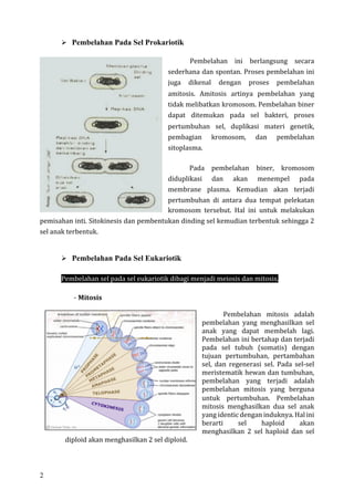 Resume pembelahan sel (marinda rahman 12 ips 1) | PDF