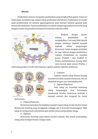 Resume pembelahan sel (marinda rahman 12 ips 1) | PDF