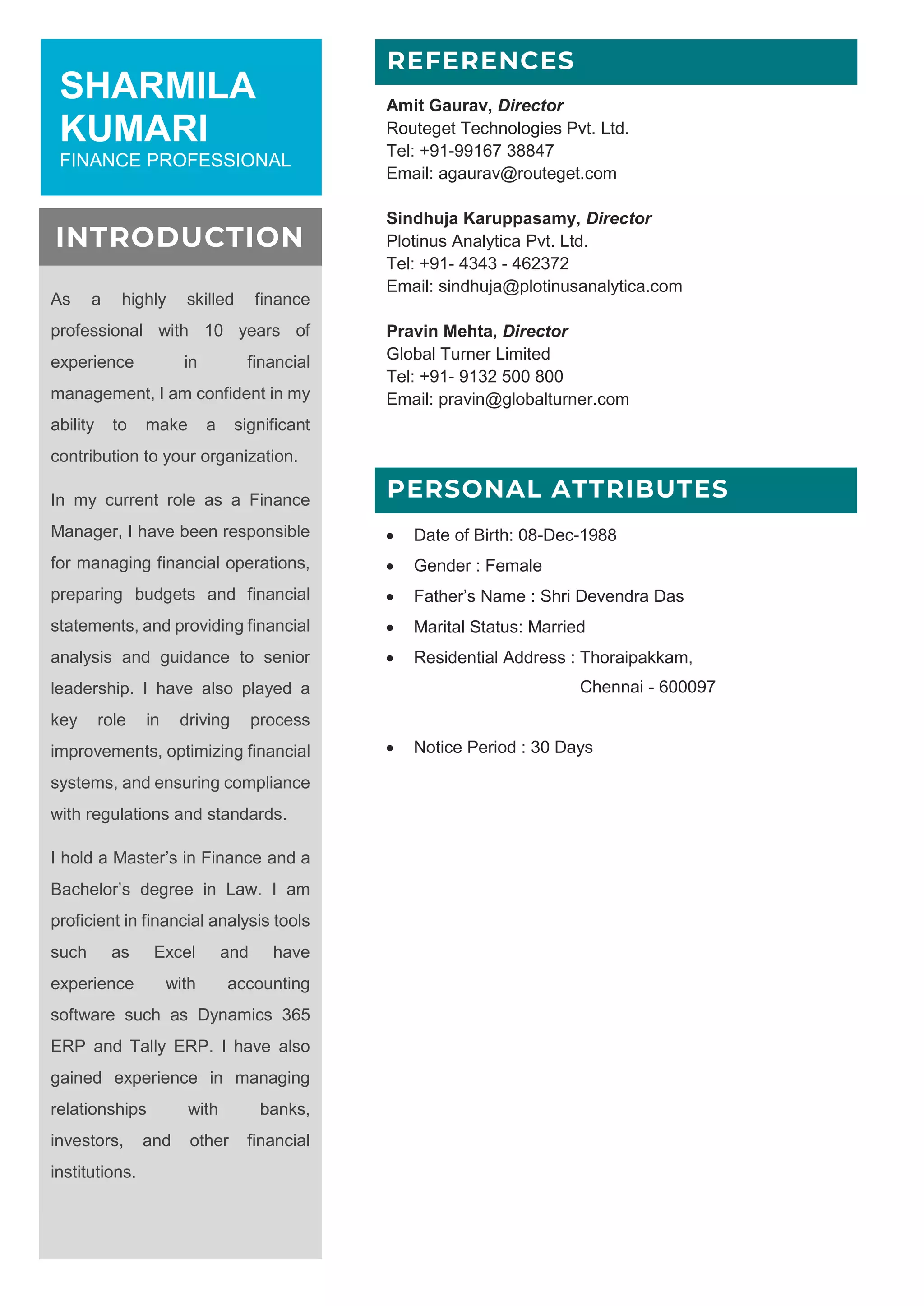 Professional Resume Design | DOTX